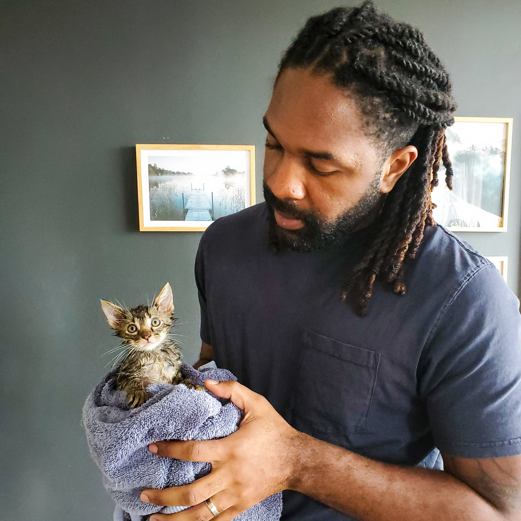 About Us – Abdul's Cats